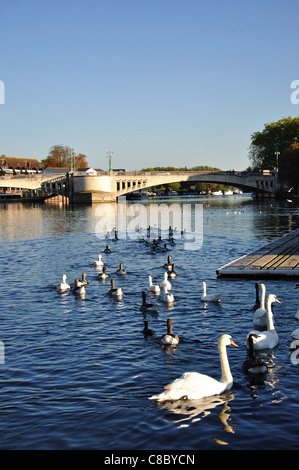 River Thames showing Caversham Bridge, Caversham, Reading, Berkshire ...