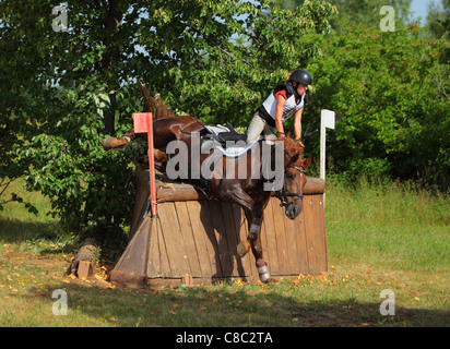 Horse refuse to jump and dismount his rider over the obstacle Stock ...