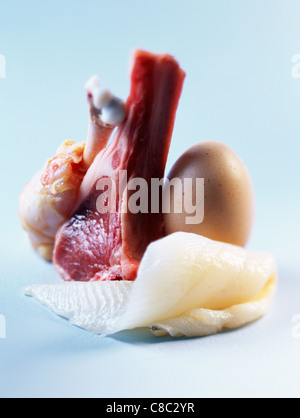 Protein-rich foods. Assorted selection of foods that contain high ...