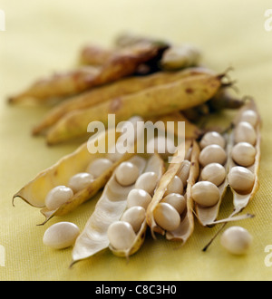 White coco beans Stock Photo - Alamy