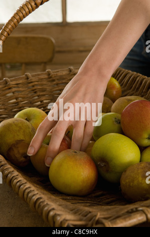 Young caucasian woman taking objects out of cardboard boxes while ...