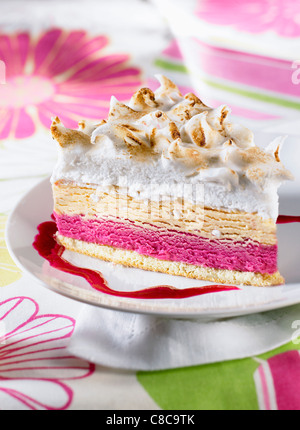 Vanilla ice cream Vacherin Stock Photo - Alamy