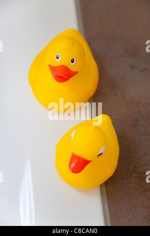 duck, rubber duck, ducks, rubber ducks Stock Photo - Alamy