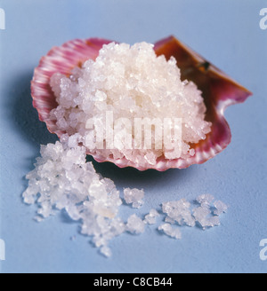 Coarse salt in a sea shell next to wakame seaweed and spilled salt, on ...