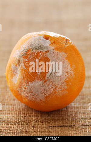 Old rotten orange Stock Photo - Alamy