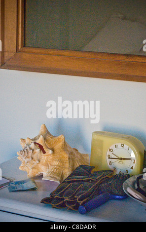 seashell and old alarm clock Stock Photo - Alamy