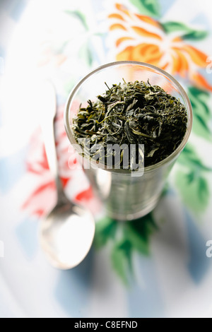 Green tea dried and with rolled leaves Stock Photo - Alamy