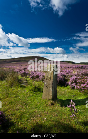 Marker Stone, Heather, Black Hambleton, North Yorkshire Stock Photo - Alamy