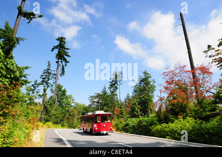 Tram in Stanley Park Vancouver Canada Stock Photo - Alamy