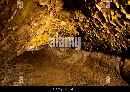 Madeira - Grutas de Sao Vicente. Inside the volcanic caves. Underground ...