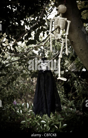 skeleton hanging from tree Stock Photo - Alamy