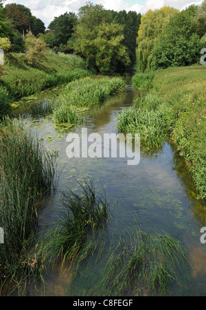 River Avon Lacock near Chippenham Wiltshire Stock Photo - Alamy