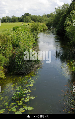 Lacock Abbey and the River Avon, Wiltshire, England, UK Stock Photo - Alamy