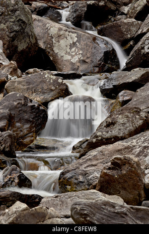 Downstream creek in forest Stock Photo - Alamy