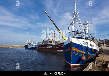 Trawlers tied up along the harbour quay in Macduff Aberdeenshire with ...
