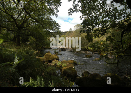 The West Dart river flows through Huccaby on the Edge of Dartmoor ...