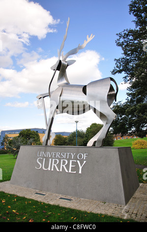 University of Surrey Sign, University of Surrey, Guildford, England, UK ...