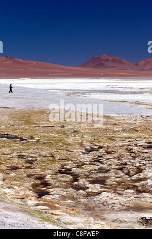 Atacama Lakes and Desert Stock Photo - Alamy