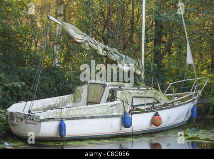 Neglected dirty sailing boat covered in moss Stock Photo - Alamy