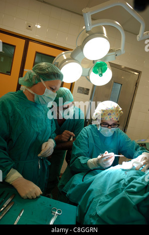 Doctors performing ear surgery in operating room Stock Photo - Alamy