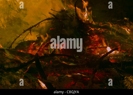 Campfire, fire, flames, surreal, concepts, art, smoke, Infrared, glow ...