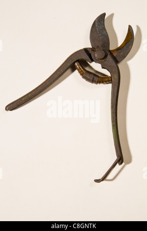 Close-up of an old rusty pruning shears isolated on white background ...