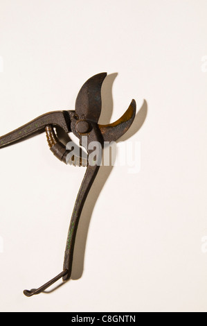 Close of a home made metal garden incinerator seen burning general ...