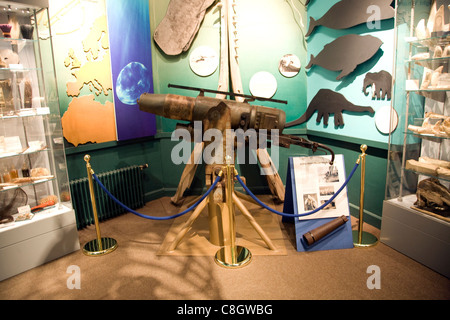 Whaling exhibition Inside the Maritime museum, Hull, Yorkshire, England ...