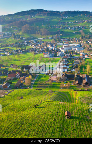 Vineyard of Thal Stock Photo - Alamy