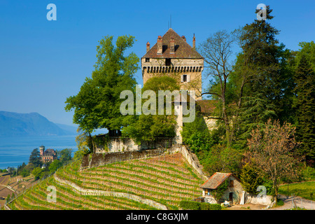 Castle, Châtelard, Switzerland, Europe, canton, Vaud, Genevan, lake ...
