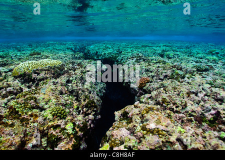 Warm, shallow seas over a canyon in the surface of a coral reef Stock ...