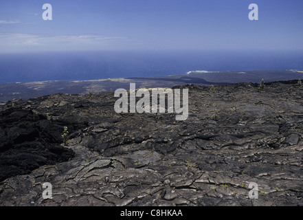 LAVA FIELDS HAWAII VOLCANOES NATIONAL PARK VOLCANO HAWAII HAWAII USA ...