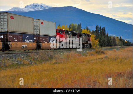 Rear View Of The Stacked Shipping Containers On The COSCO SHIPPING ...
