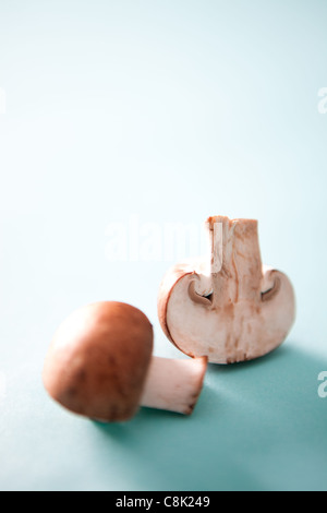 single mushroom, cut in half on pale blue background Stock Photo - Alamy