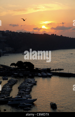 SUNSET OVER HARBOUR & SEAGULL SORENTO ITALY 18 September 2011 Stock ...