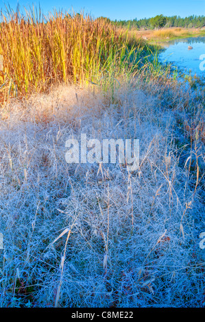 A beautiful morning at Fool Hollow State Park near Show Low, Arizona ...