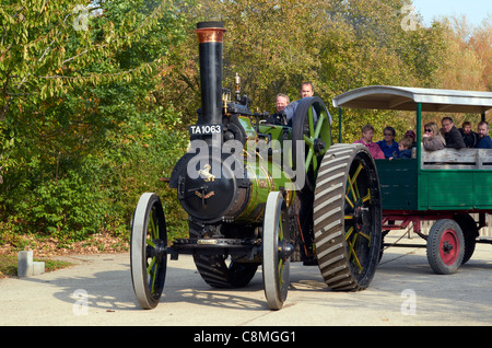 Steam traction engine hauling a trailer giving rides around an ...