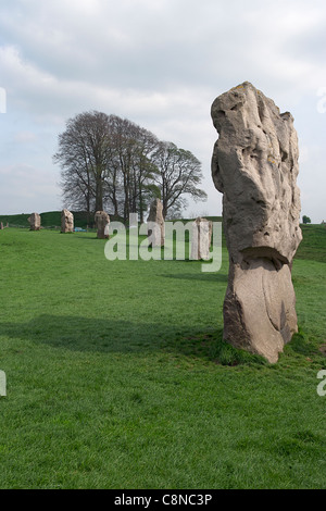 Standing stones and tree. Avebury standing stone circle, near Devizes ...