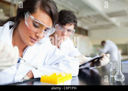 young scientists making test or research in lab Stock Photo - Alamy