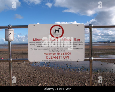 Sign by beach at Minehead, Somerset explaining seasonal banning of dogs ...