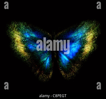 Abstract beauty colorful butterfly background Stock Photo - Alamy