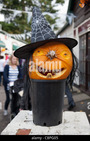 Carved pumpkins in the New forest at Halloween Stock Photo - Alamy