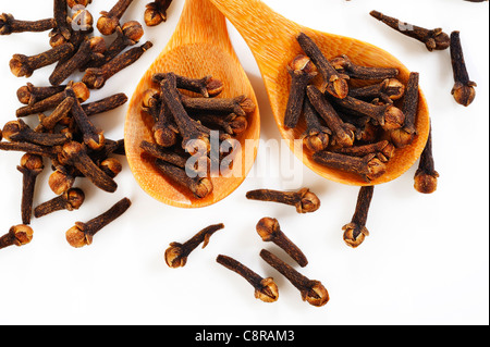 Dry cloves in wooden spoon isolated on white background Stock Photo - Alamy