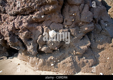 Rapidly eroding boulder clay cliffs on the Holderness coast Stock Photo ...