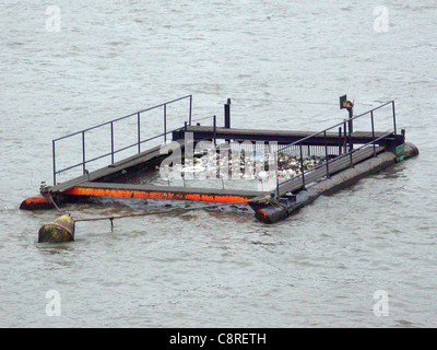 Passive Debris Collector, floating rubbish bin on the River Thames ...