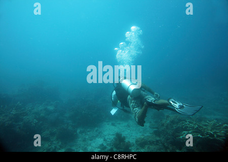 divers at Tuvalu Stock Photo - Alamy