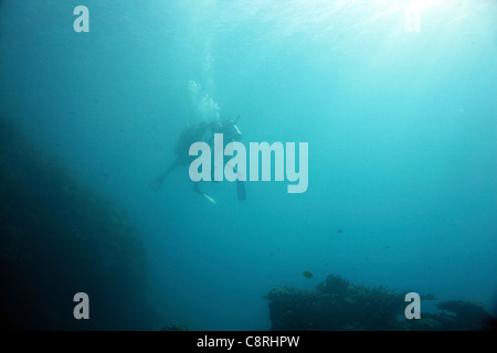 divers at Tuvalu Stock Photo - Alamy