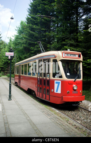 Old tramcar at Skjoldenaesholm Tram car Museum. Ringsted. Denmark Stock ...