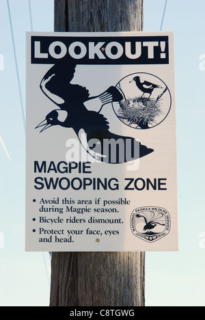 Bird swooping warning sign Stock Photo - Alamy