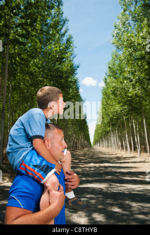 USA, Oregon, Boardman, Father showing son poplar trees in tree farm ...